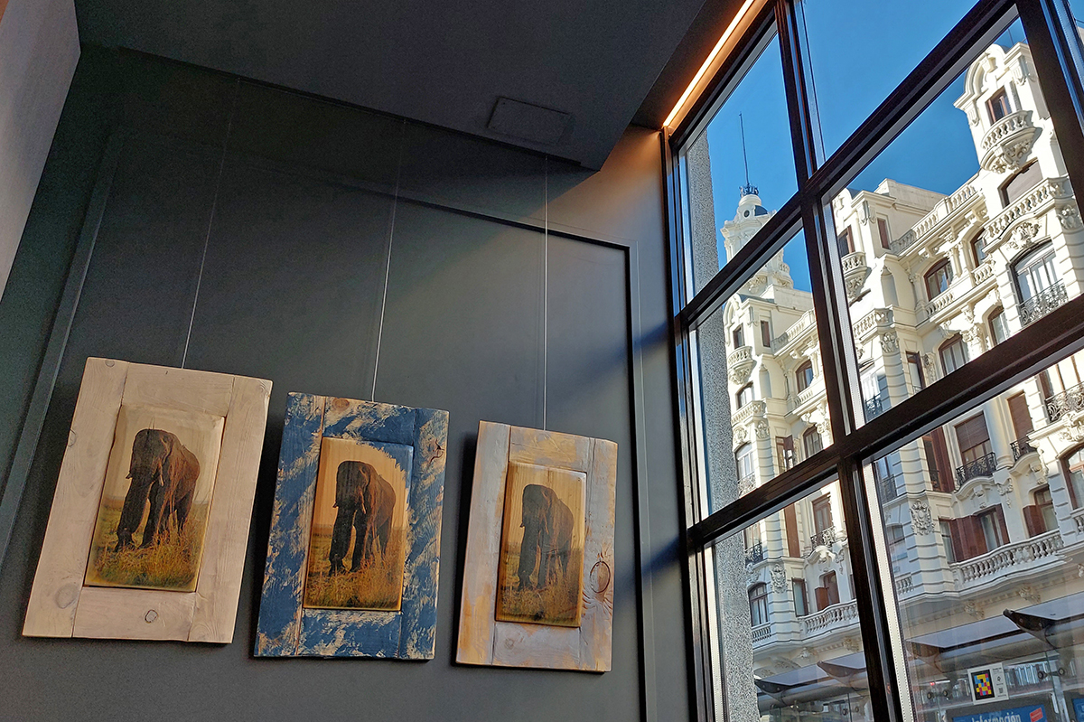 Exposiciones – Alberto Rubio Terrazas
